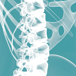 Anatomy of the Spine - Edison Spine Center
