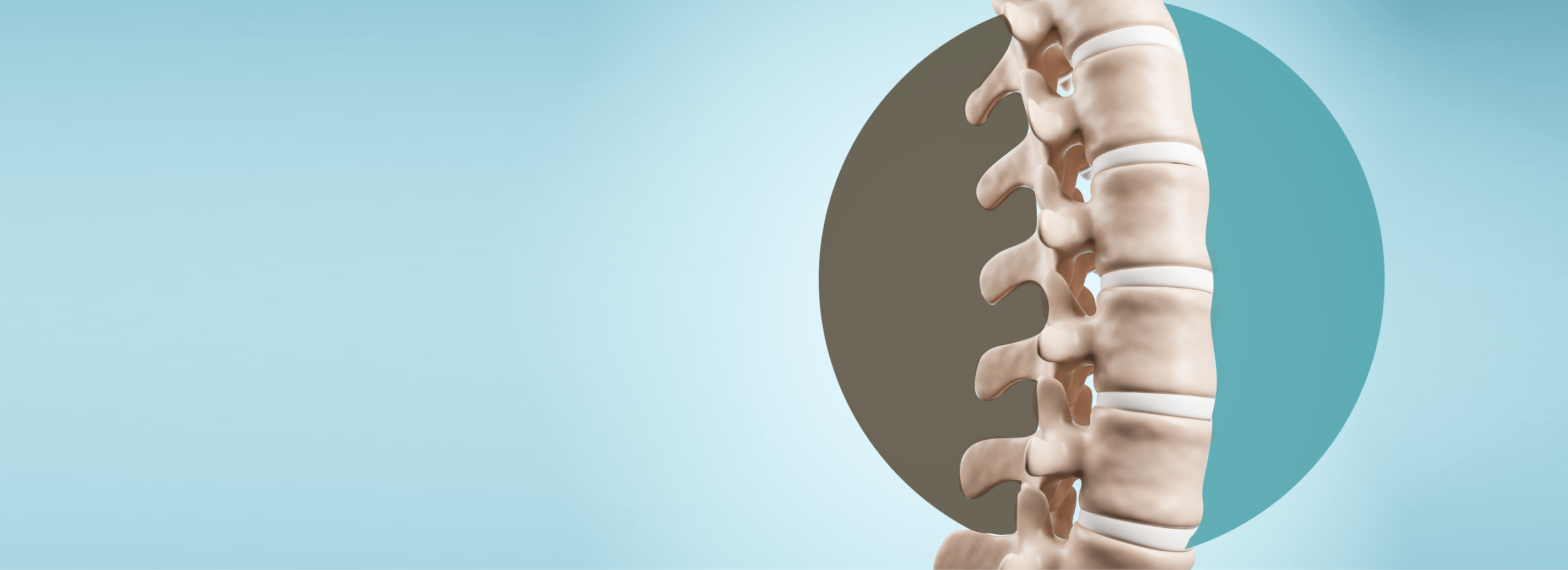 Edison Spine Center